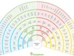 Family History Fan Chart | LDS365: Resources from the Church & Latter ...
