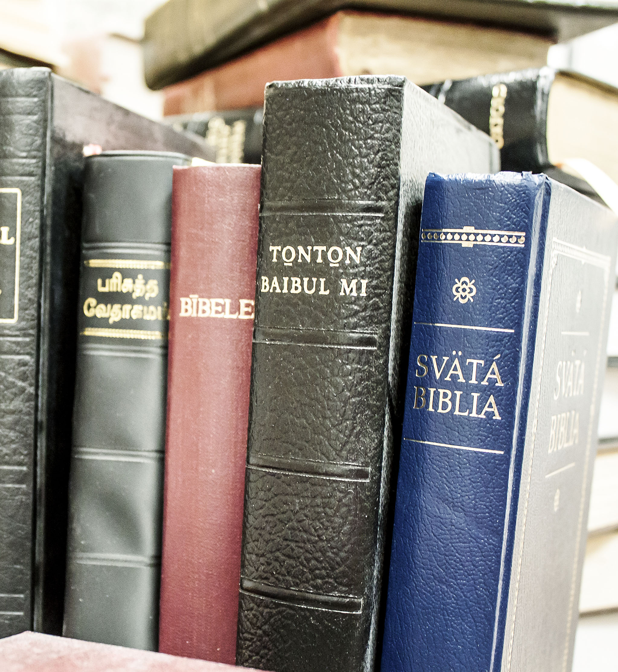 Preferred Bible Translations in Non-English Languages | LDS365 ...