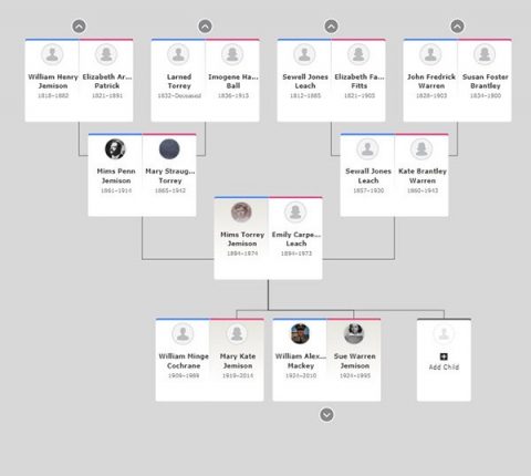 Different Family Tree Views Provide Perspective | LDS365: Resources ...
