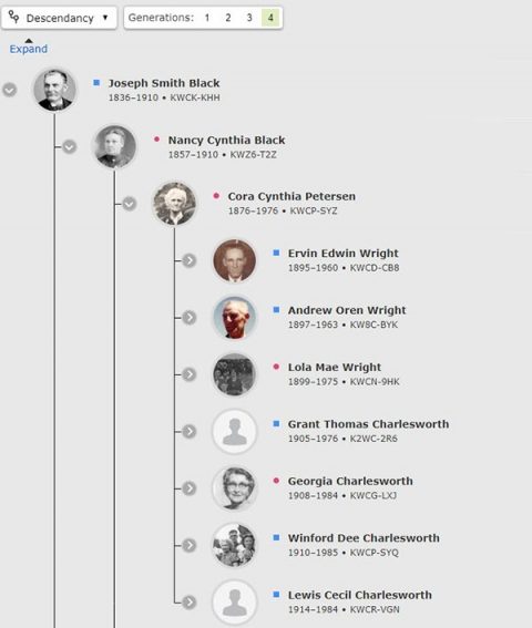 Different Family Tree Views Provide Perspective | LDS365: Resources ...